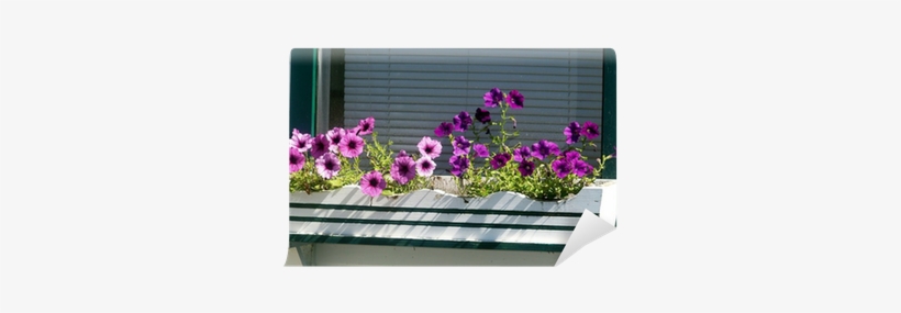 Download Transparent Window Box - PNGkit