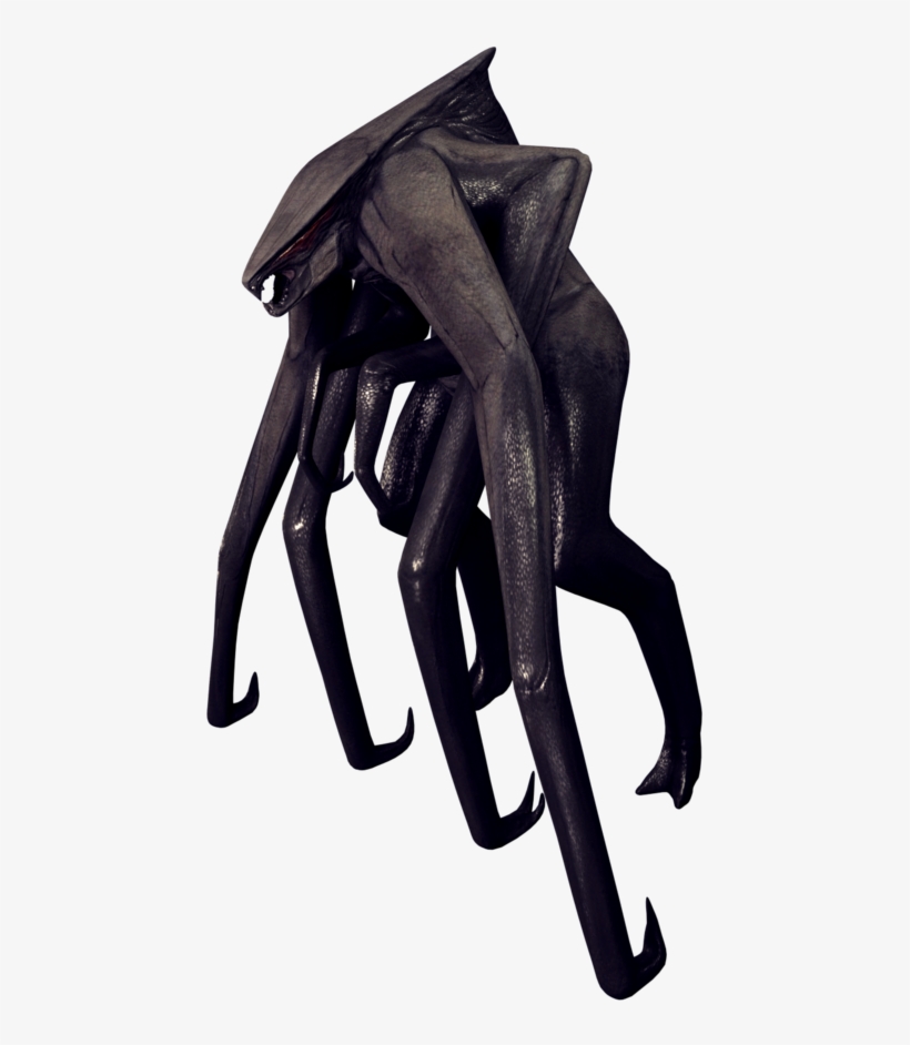 Female Muto - 894x894 PNG Download - PNGkit