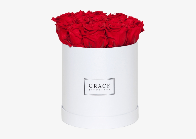 Flower Box Png - 444x600 PNG Download - PNGkit