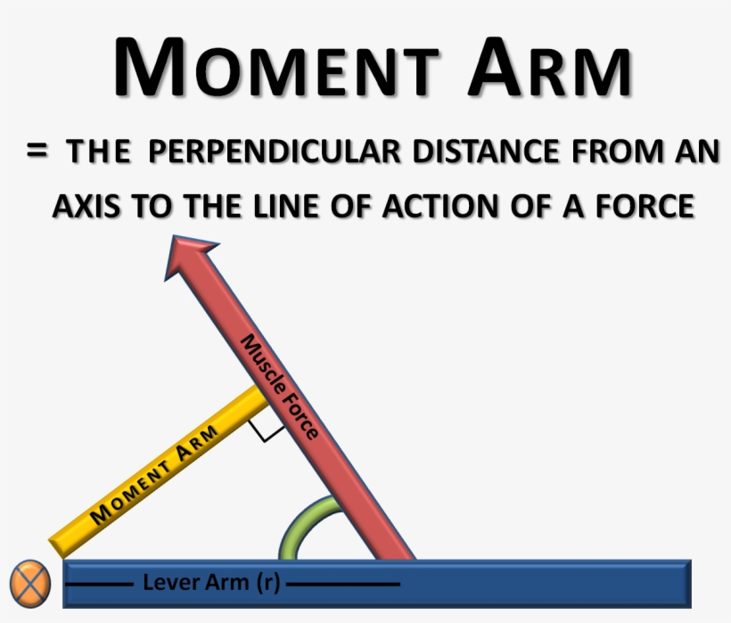Moment Arm In A Force System - Line Of Action Moments - 1290x1033 PNG ...