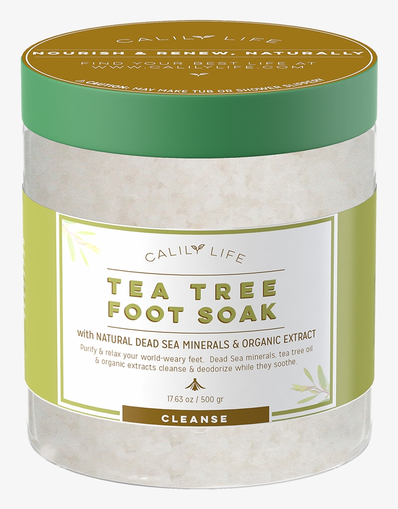 Tea Tree Png - 1000x1000 PNG Download - PNGkit