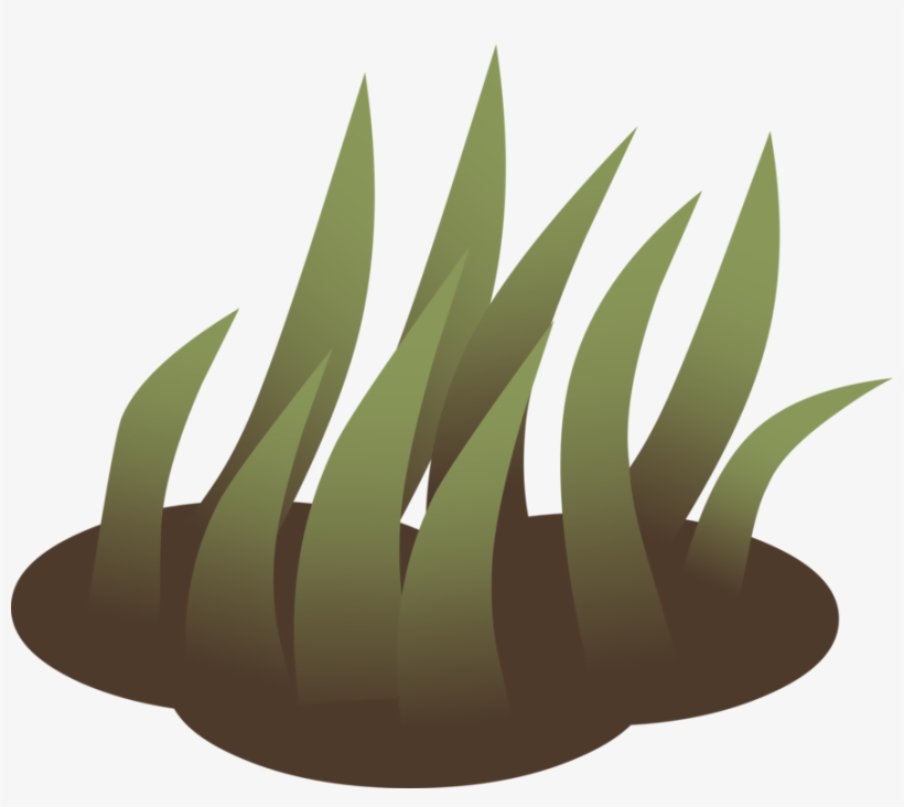 Grasses Lawn Landscape Design Computer Icons Vetiver - 888x750 PNG ...