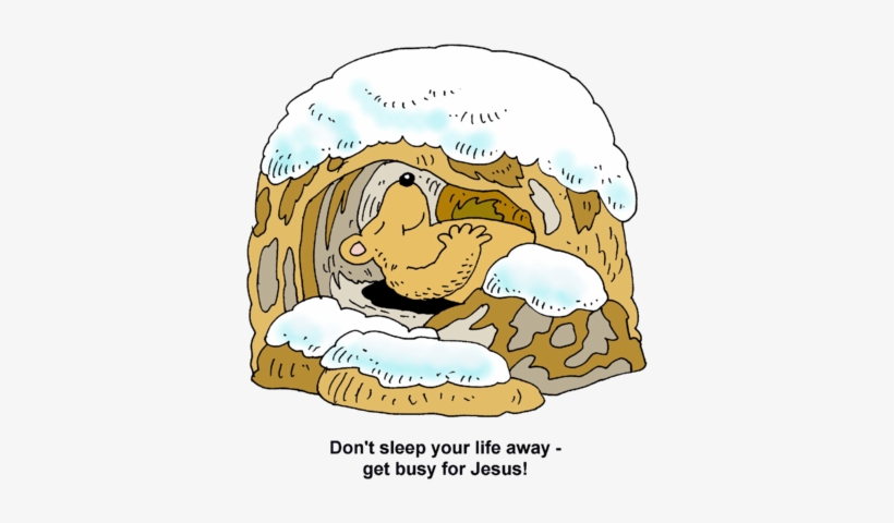 Hibernating Bear Clipart