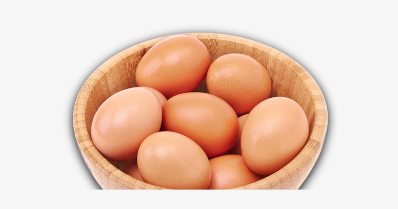 Egg - 570x350 PNG Download - PNGkit