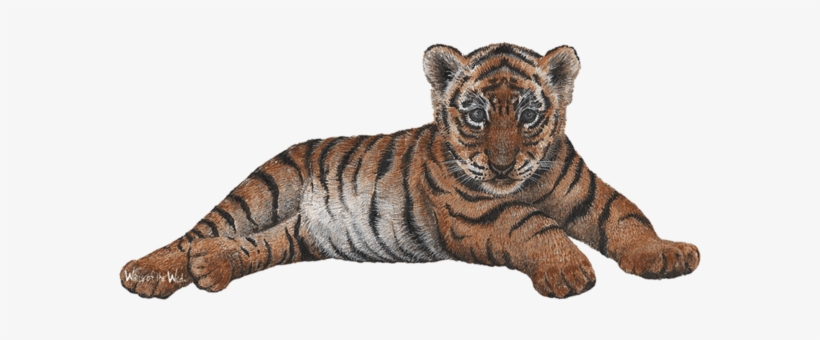 Download Transparent Tiger Cub Jungle Animals Wall Decal Sticker ...