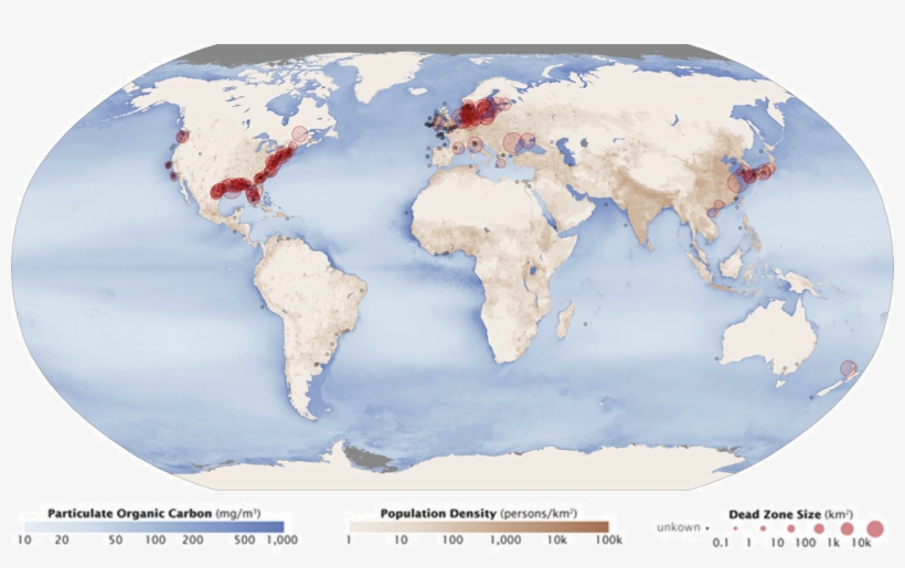 Ocean Dead Zones Map - 1118x648 PNG Download - PNGkit