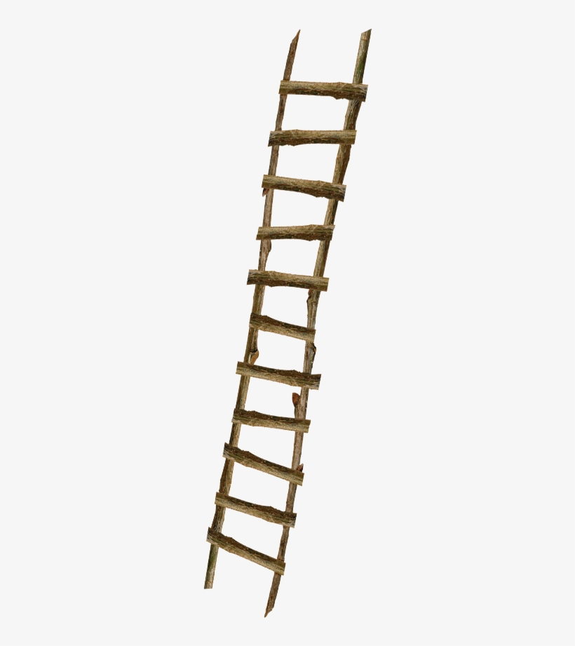 Mq Ladder Brown Climbing Wood - Cartoon Wooden Ladder On Rope - 240x841 ...