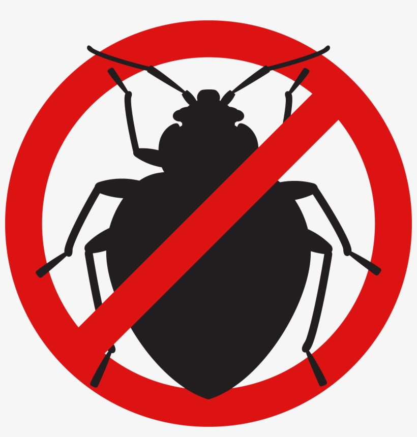 Bed Bug Control - Bed Bug Vector - 3000x3000 PNG Download - PNGkit