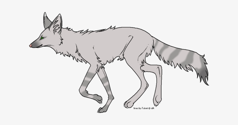 Night Angels - Swift Fox - 640x405 PNG Download - PNGkit