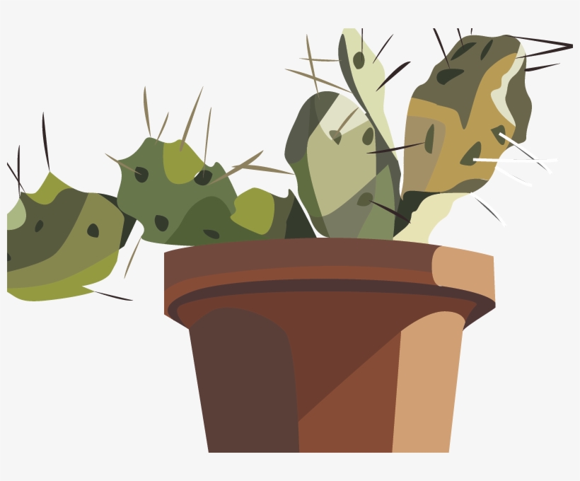 Cactus - Cartoon - 800x600 PNG Download - PNGkit