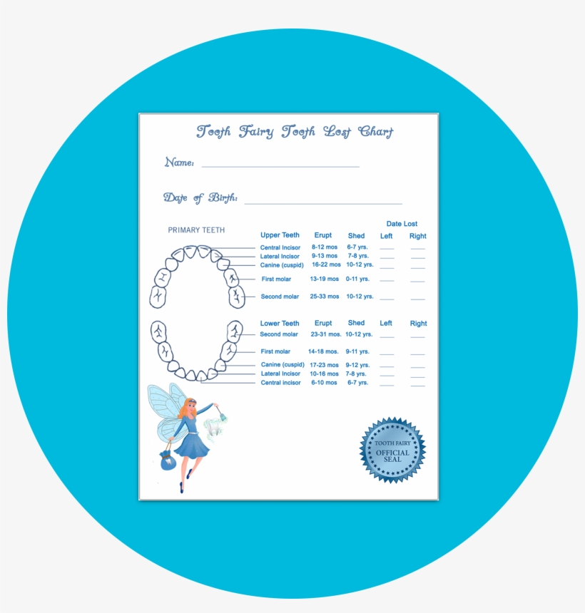 Tooth Lost Chart - Scalable Vector Graphics - 2764x2764 PNG Download ...