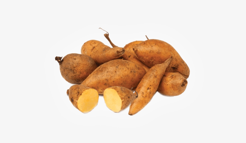 Yacon Powder Core Product Image Template Wide - Yacon Root - 678x396 ...