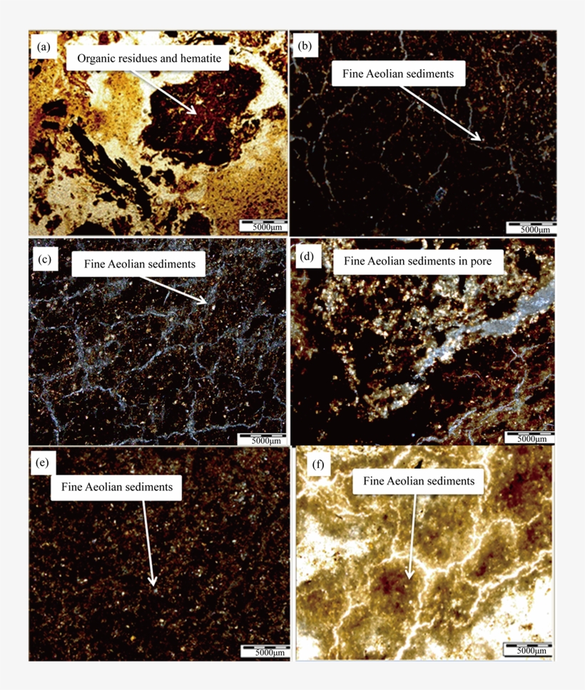 Thin Section Images Of Core Sample - 903x886 PNG Download - PNGkit