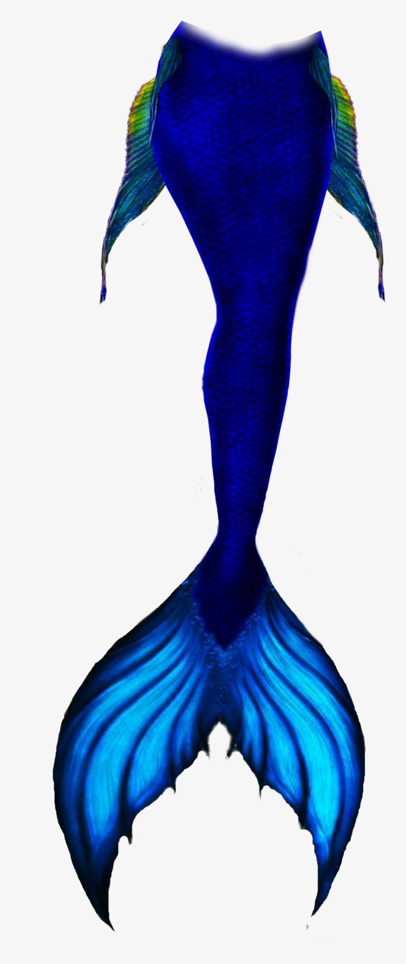 Sketch Mermaid Tail Draw - 1024x2048 PNG Download - PNGkit