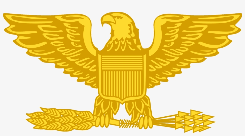 Colonel Gold Eagle - Colonel Insignia Air Force - 1920x977 PNG Download ...