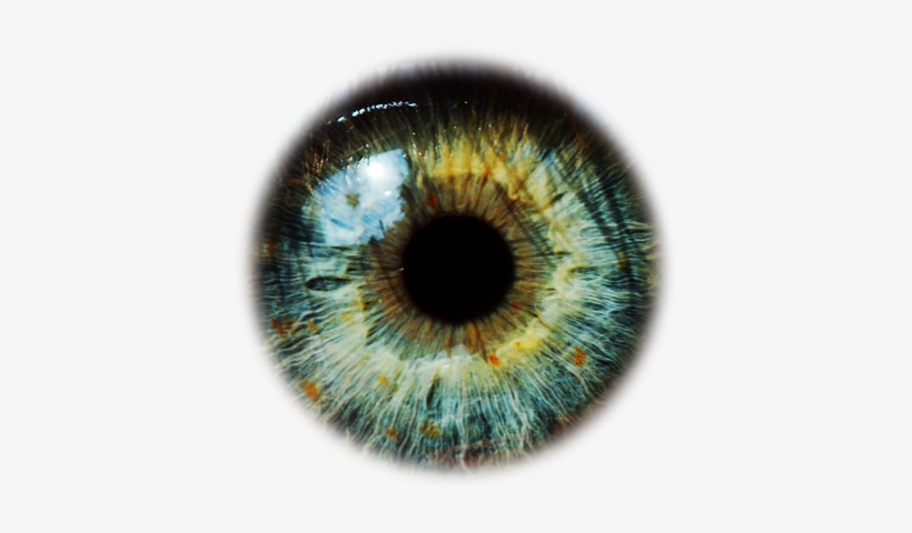 Download Transparent Eyes Png - Green Eyes Png - PNGkit