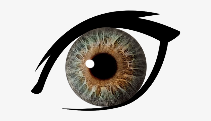 Eye Png - Eye Png Transparent Background - 600x392 PNG Download - PNGkit