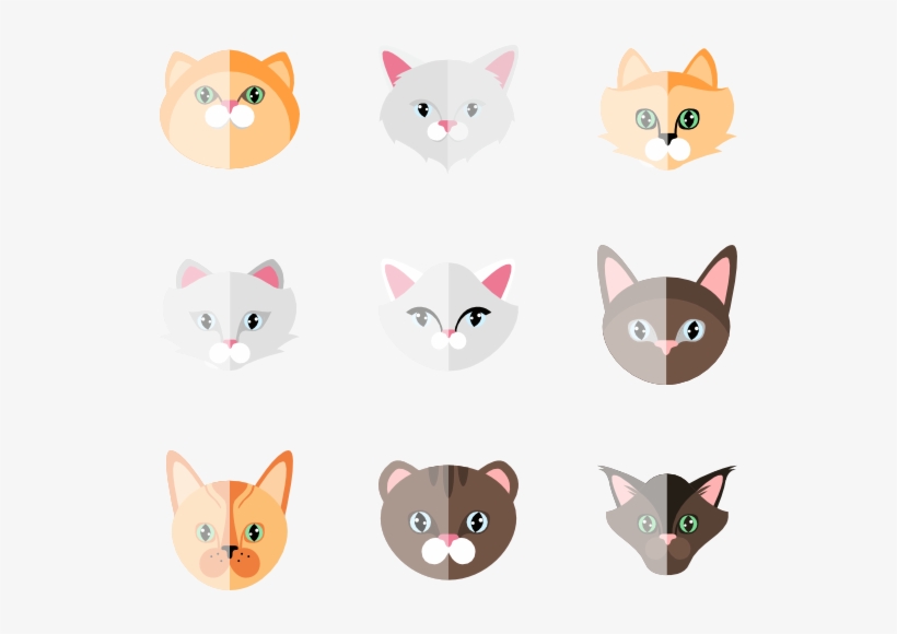 Cat Collection - Cat - 600x564 PNG Download - PNGkit