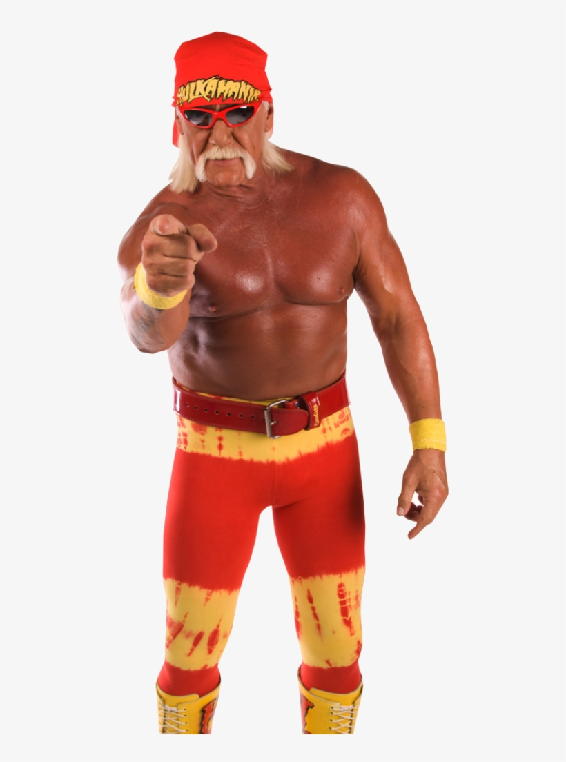 Hulk Hogan Png Clipart - Hulk Hogan Png - 480x1024 PNG Download - PNGkit