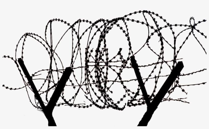 Barbed Wire Barbed Tape Concertina Wire - Razor Wire Png Transparent ...