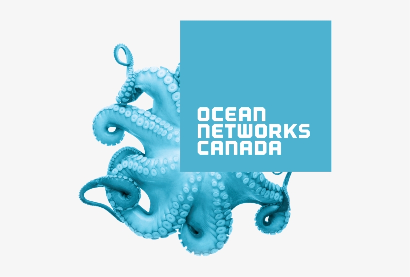 Colour - Ocean Networks Canada Logo - 541x500 PNG Download - PNGkit