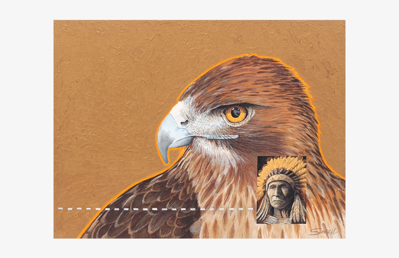 Winter Hawk - Red-tailed Hawk - 600x600 PNG Download - PNGkit