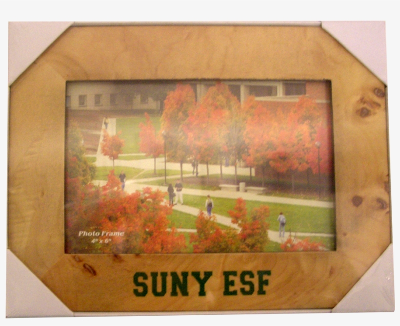 Wood Frame - Everyday Program Evaluation For Schools: Implementation ...