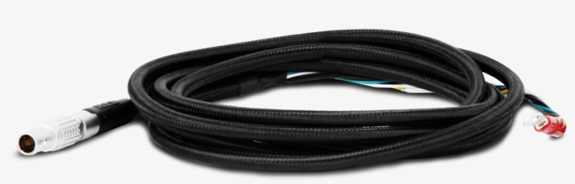 Products Primary Red 4pin Lemo To Flying Lead Aux Cable - Red 4-pin 0b ...