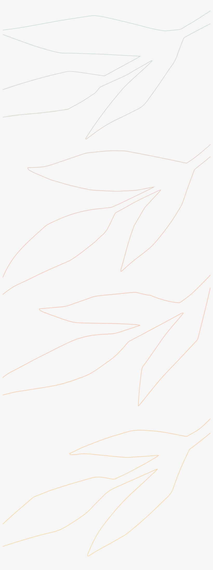 Sketch - 1440x4017 PNG Download - PNGkit