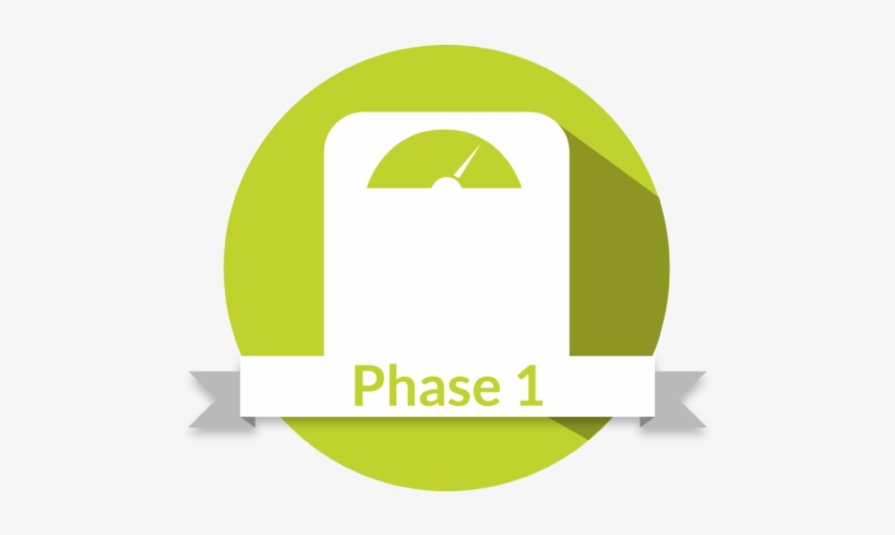 Icon Phase 1 E1502828511757 - Train Prices Across Europe - 500x409 PNG ...