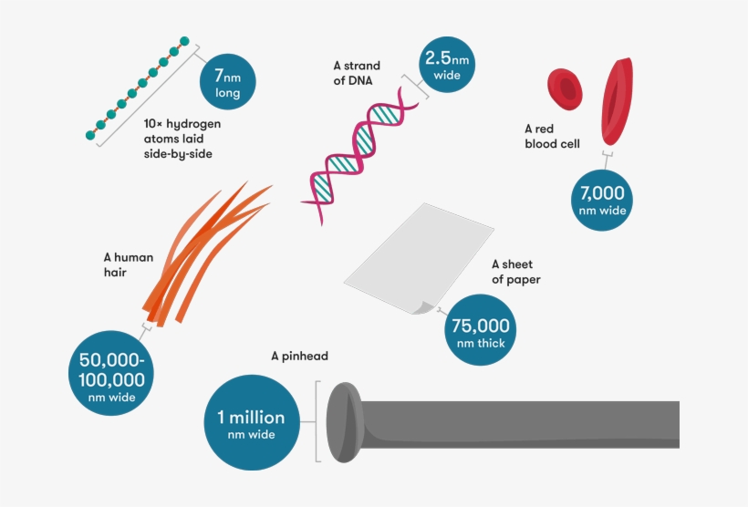 A Couple Of Items With Their Key Measurements In Nanometres - Nano ...
