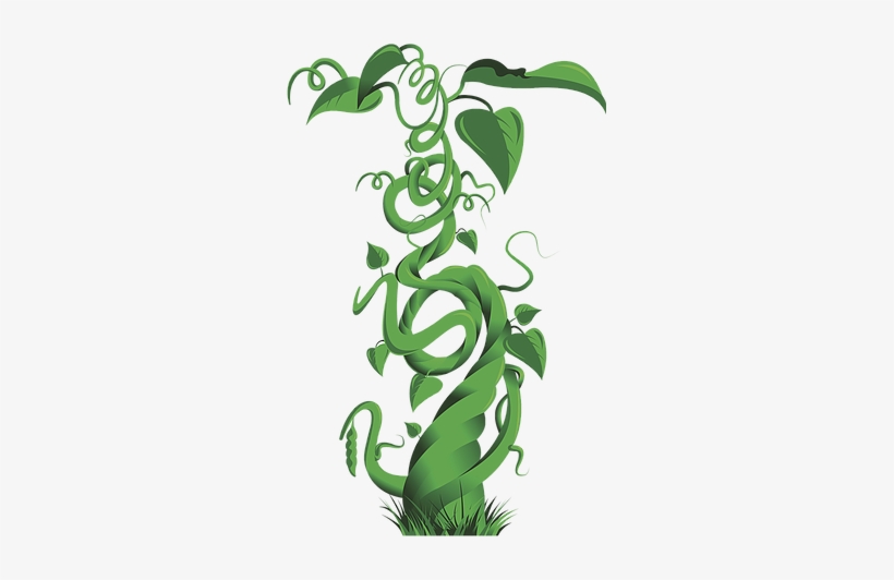 Beanstalk Clip Art - 293x452 PNG Download - PNGkit