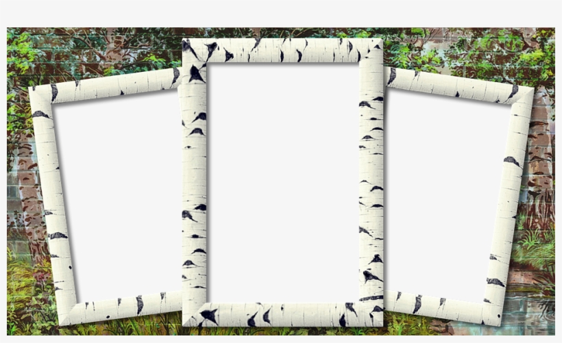 Frame, Photo Frame, Birch, Three Photo - Three Photo Frame Png ...
