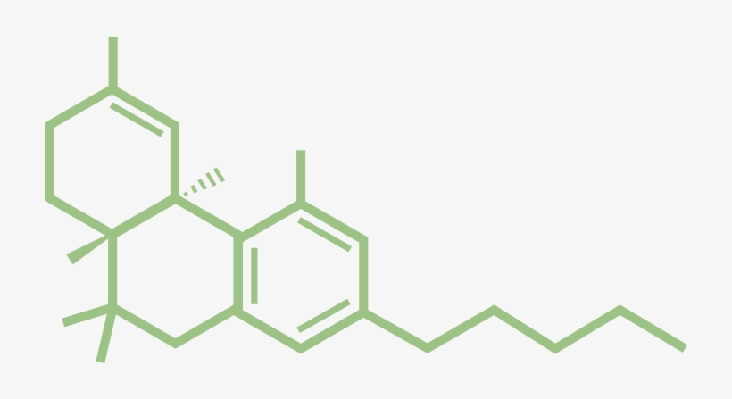 Common Cannabinoids - Cbd Compound - 1080x382 PNG Download - PNGkit