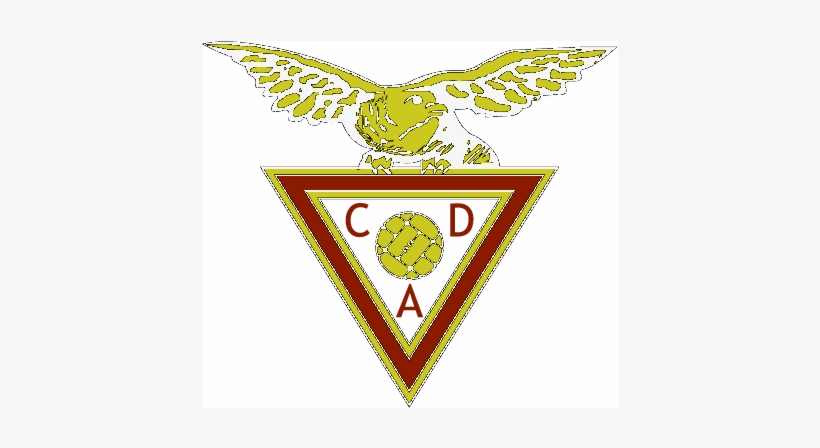 Download Transparent Report - Aves Desportivo - PNGkit