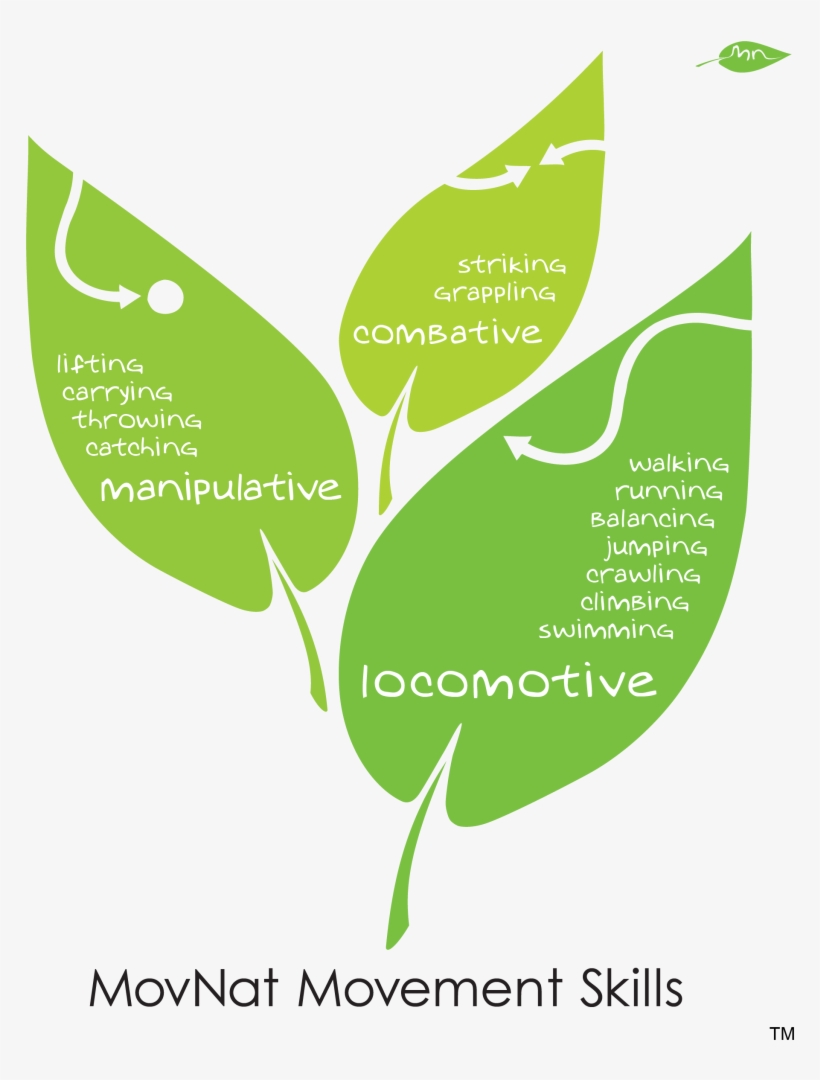 Categories Skills 01 - Movnat Movements - 832x1024 PNG Download - PNGkit