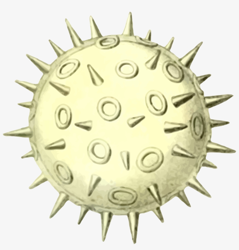 This Free Icons Png Design Of Pollen 3 - 2400x2392 PNG Download - PNGkit