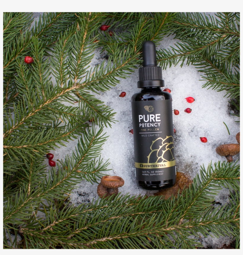 Pine Pollen Pure Potency Pine Pollen Pure Potency - 2048x2048 PNG ...