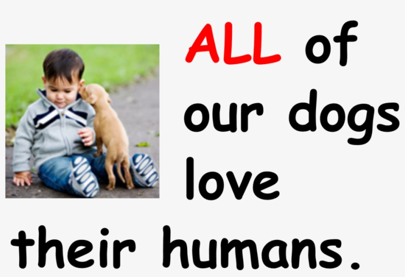 Love Humans - 1000x658 PNG Download - PNGkit