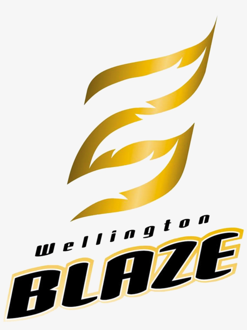 High Res Blaze Logo - Wellington - 1315x1701 PNG Download - PNGkit