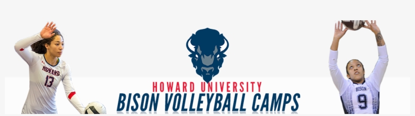 Howard University - Volleyball - Howard University Bison Die-cut Vinyl ...