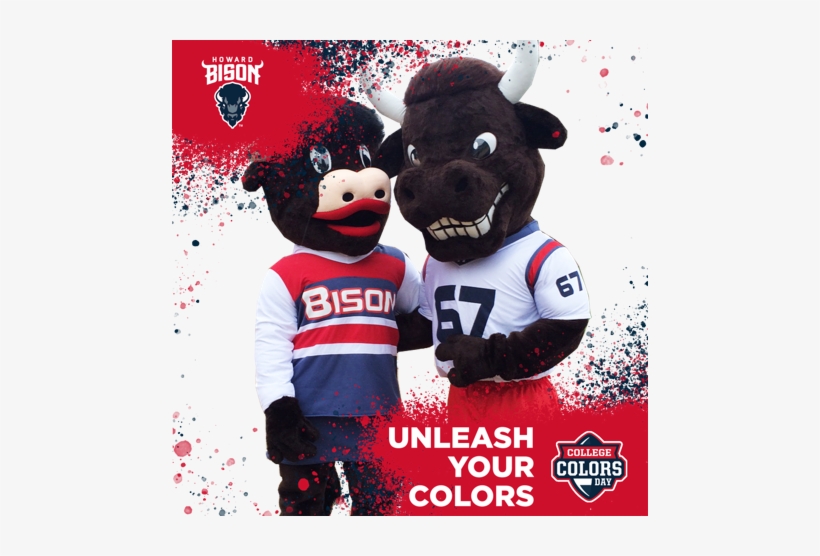 Show The World On - 8 Howard Hu Bison Regulation Corn Filled Cornhole ...