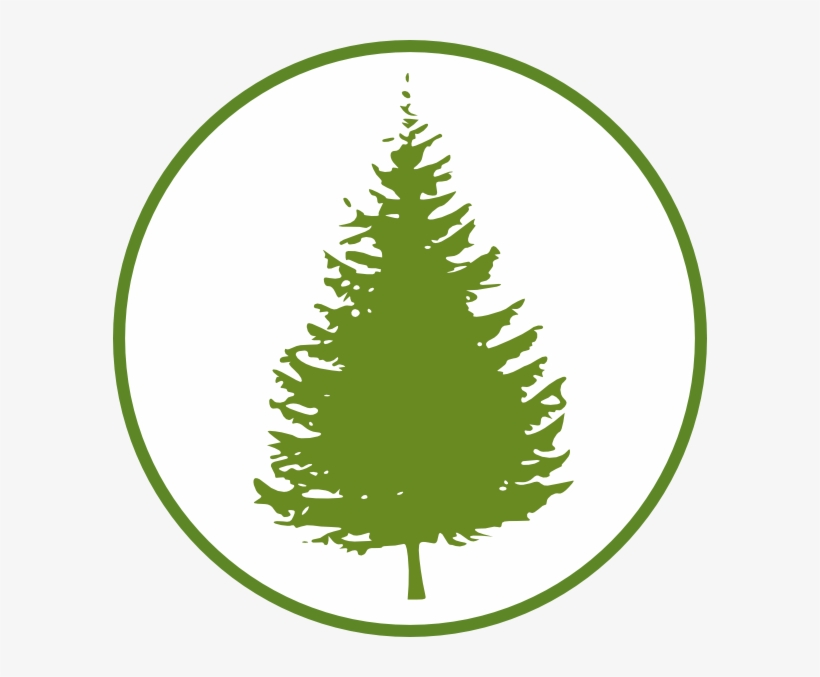 Download Transparent How To Set Use Forest/circle Svg Vector - PNGkit
