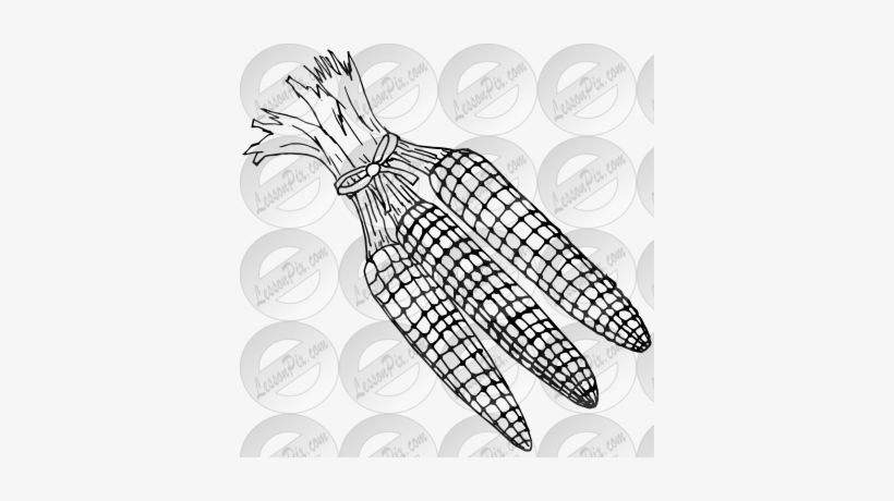 Indian Corn Clipart - Clip Art - 380x380 PNG Download - PNGkit