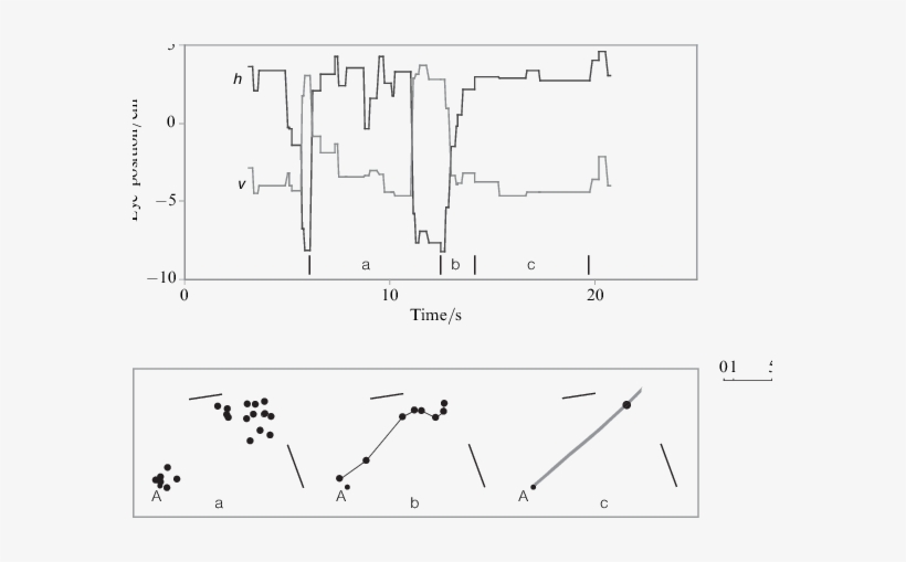 Time Sequence And Fixation Path For Drawing A Line - Diagram - 579x429 ...