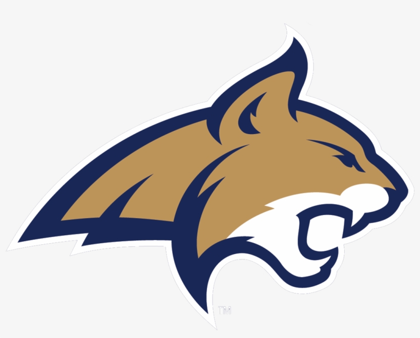 Story Links - Bobcats Montana State Football - 1200x1200 PNG Download ...