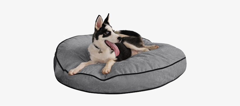Smart Pup Round Dog Beds - 621x426 PNG Download - PNGkit