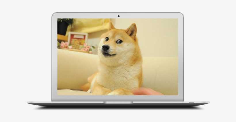 Immense Technological Transformation Is What The World - Meme Doge ...