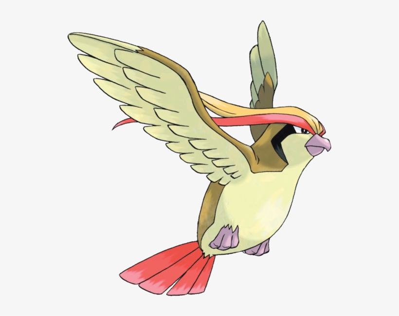 Pidgeot - Pokemon Pidgeot - 600x600 PNG Download - PNGkit