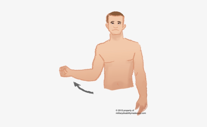 Upper Nerve 32 - Arm Disability - 360x426 PNG Download - PNGkit